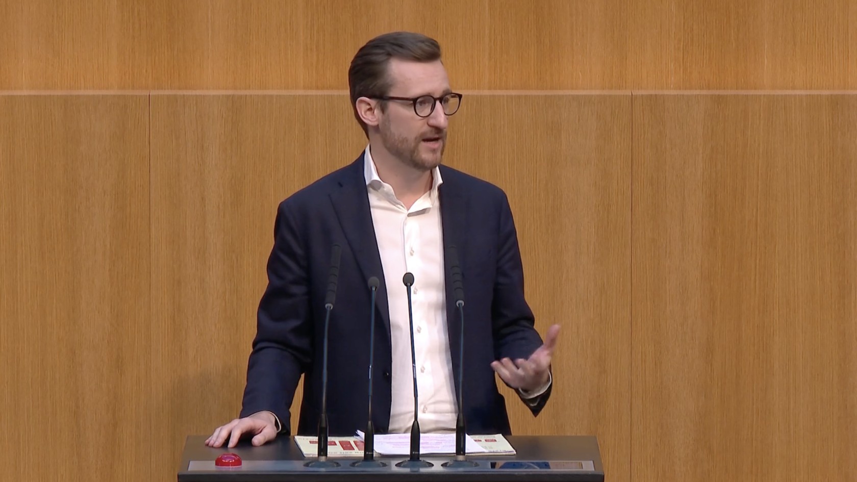 Abgeordnete im österreichischen Nationalrat: Rollen, Rechte und ...