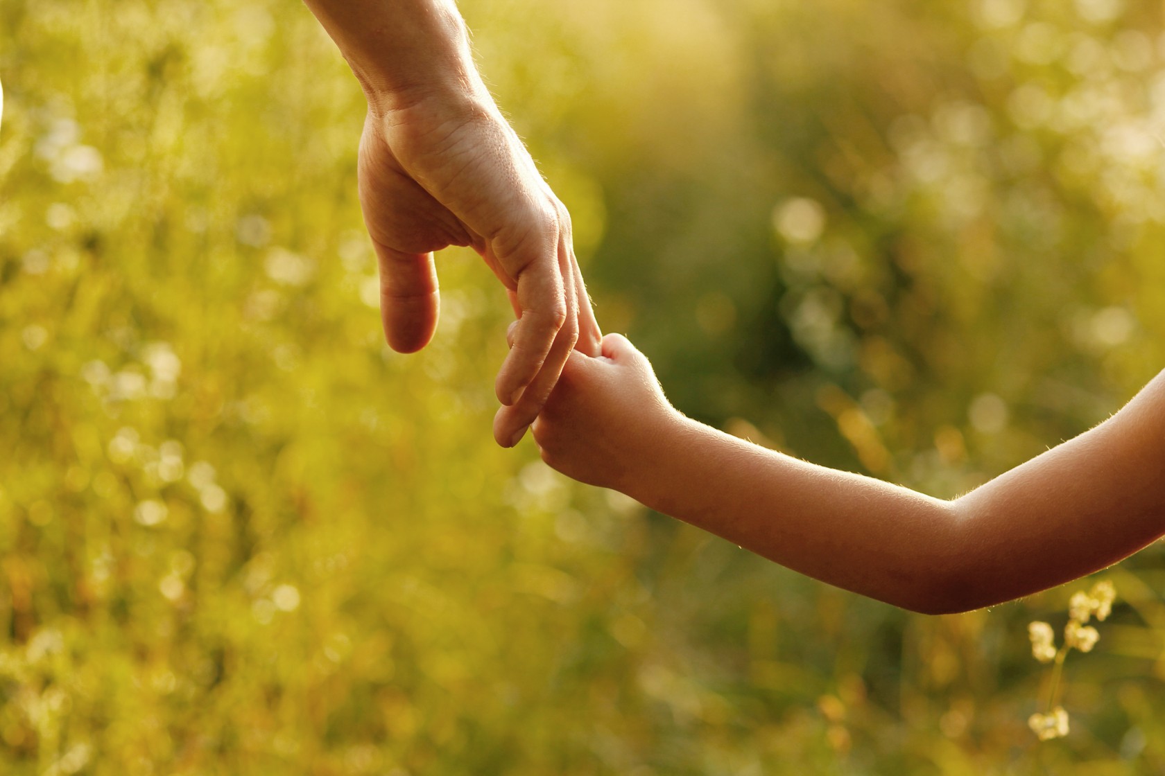 NEOS-Programm für Asyl