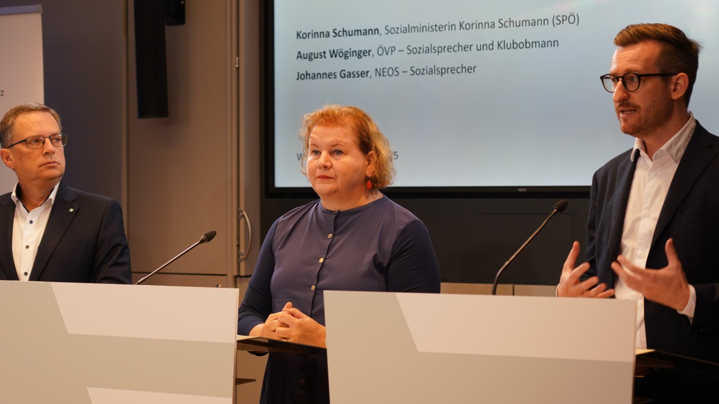 Das Mandat Im sterreichischen Parlament Grundlagen Und Bedeutung