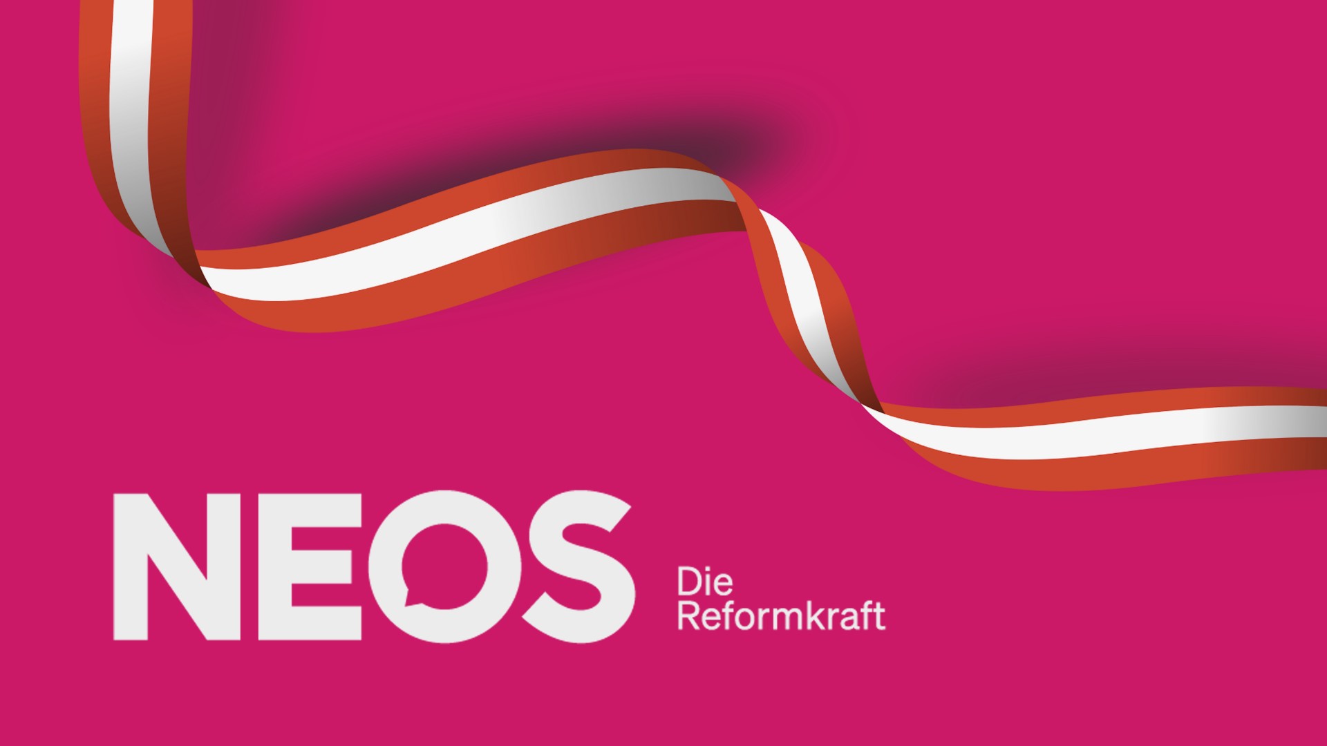 Abgeordnete im österreichischen Nationalrat: Rollen, Rechte und ...